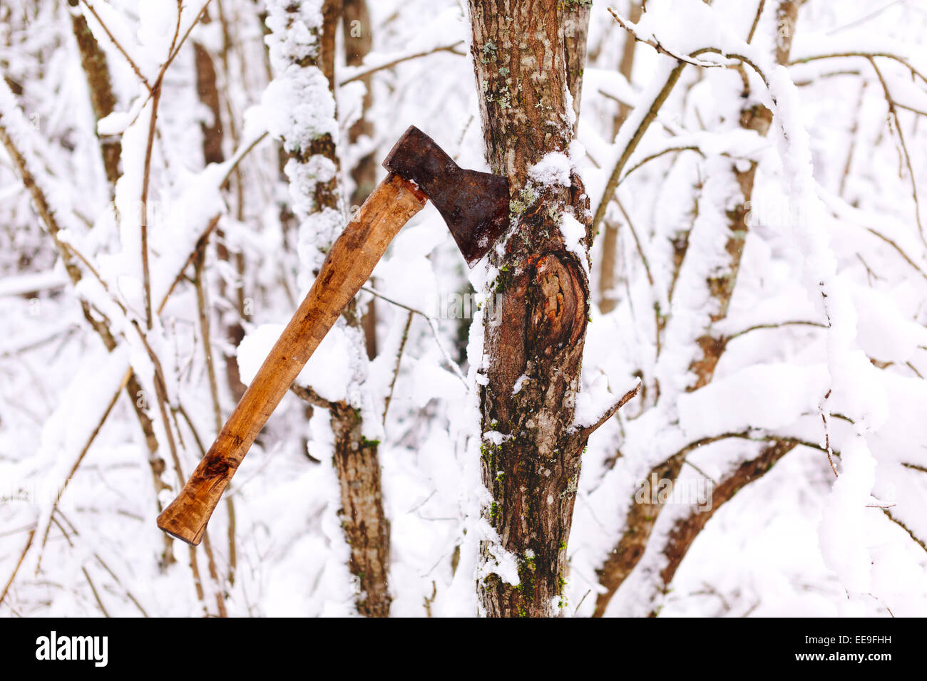 Ax stuck in tree hi-res stock photography and images - Alamy