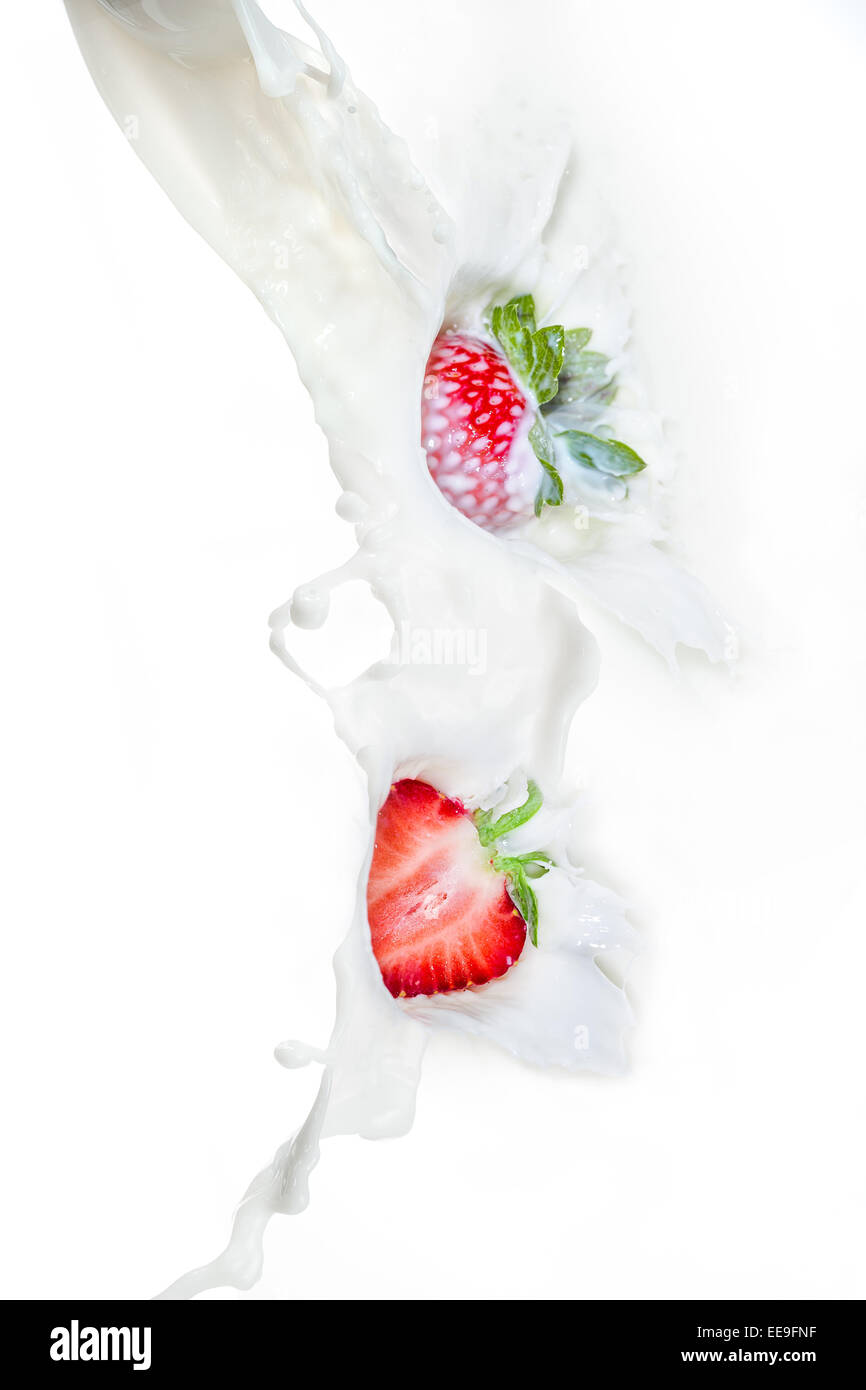 Strawberry falling into milk splashing. Close up view, On white ...