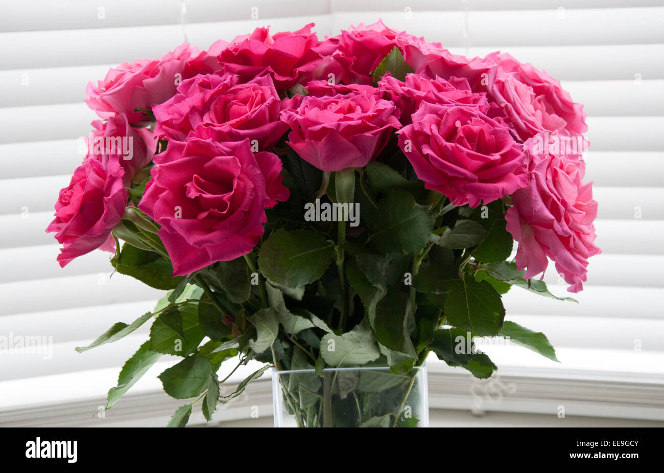 A vase of pretty pink roses Stock Photo - Alamy