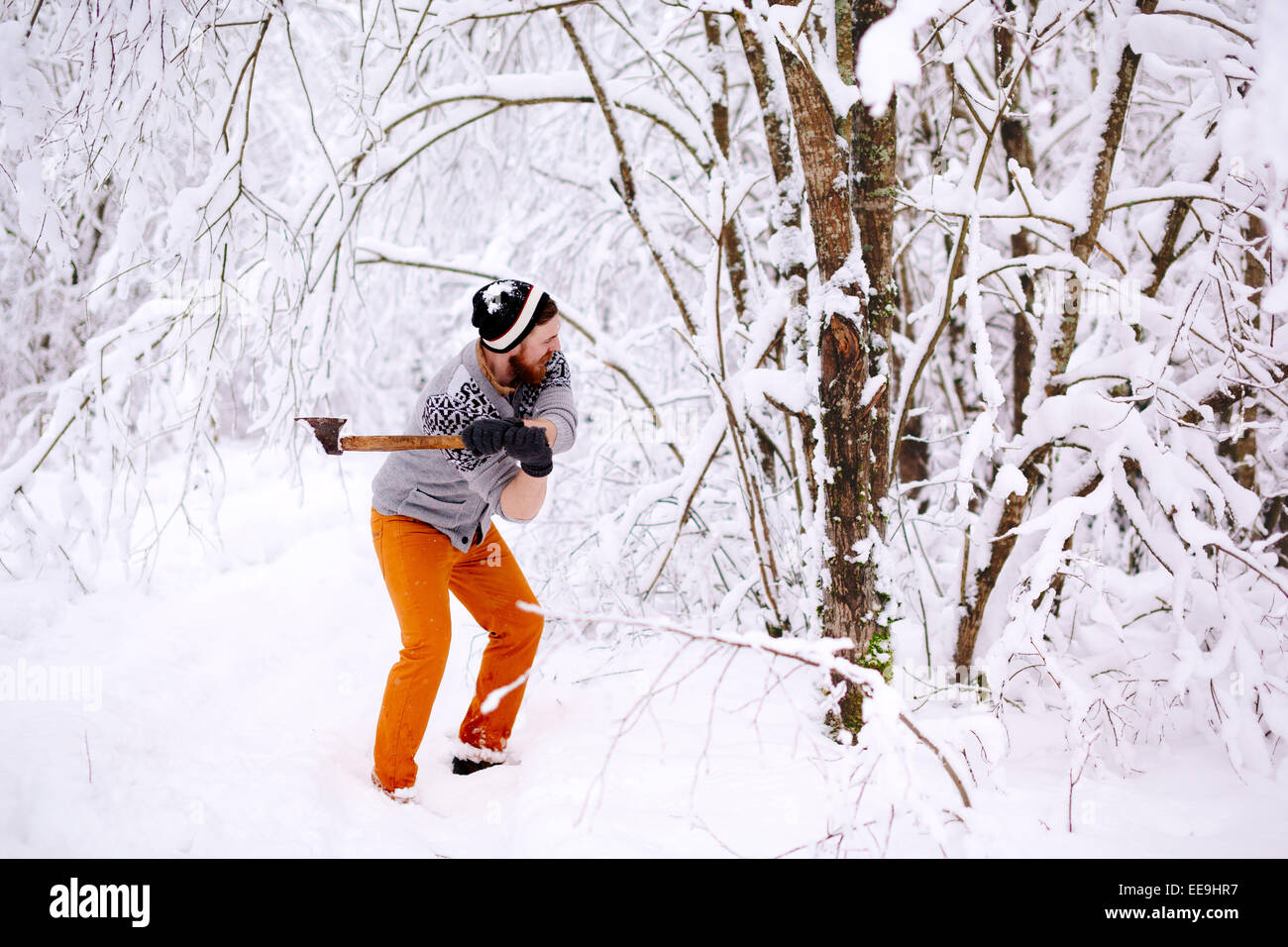Lumberjack chopping wood Stock Photo - Alamy