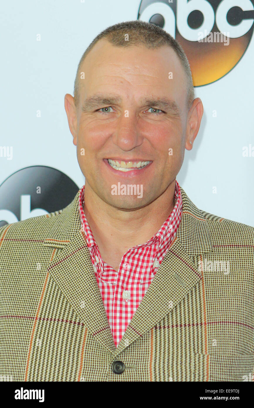 Los Angeles, California, USA. 14th Jan, 2015. Vinnie Jones attends ABC ...