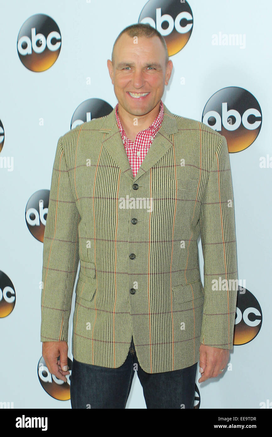 Los Angeles, California, USA. 14th Jan, 2015. Vinnie Jones attends ABC ...