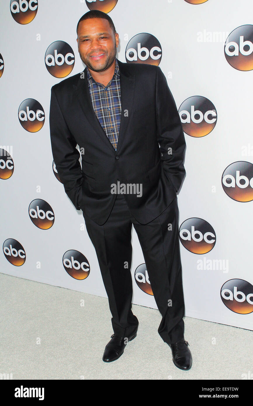 Los Angeles, California, USA. 14th Jan, 2015. Anthony Anderson attends ...