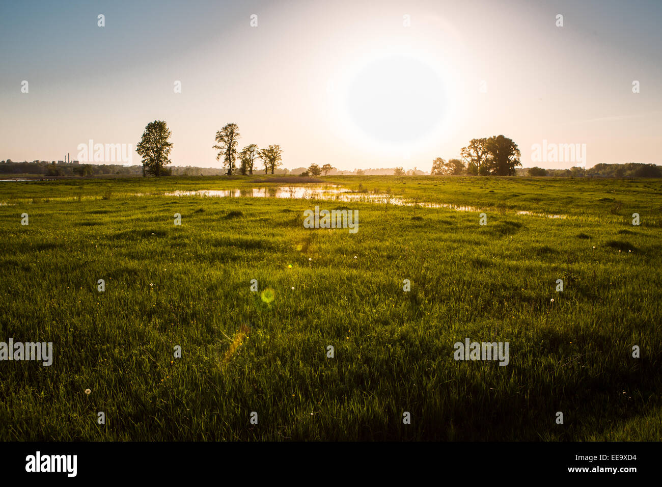 field on sunset Stock Photo - Alamy