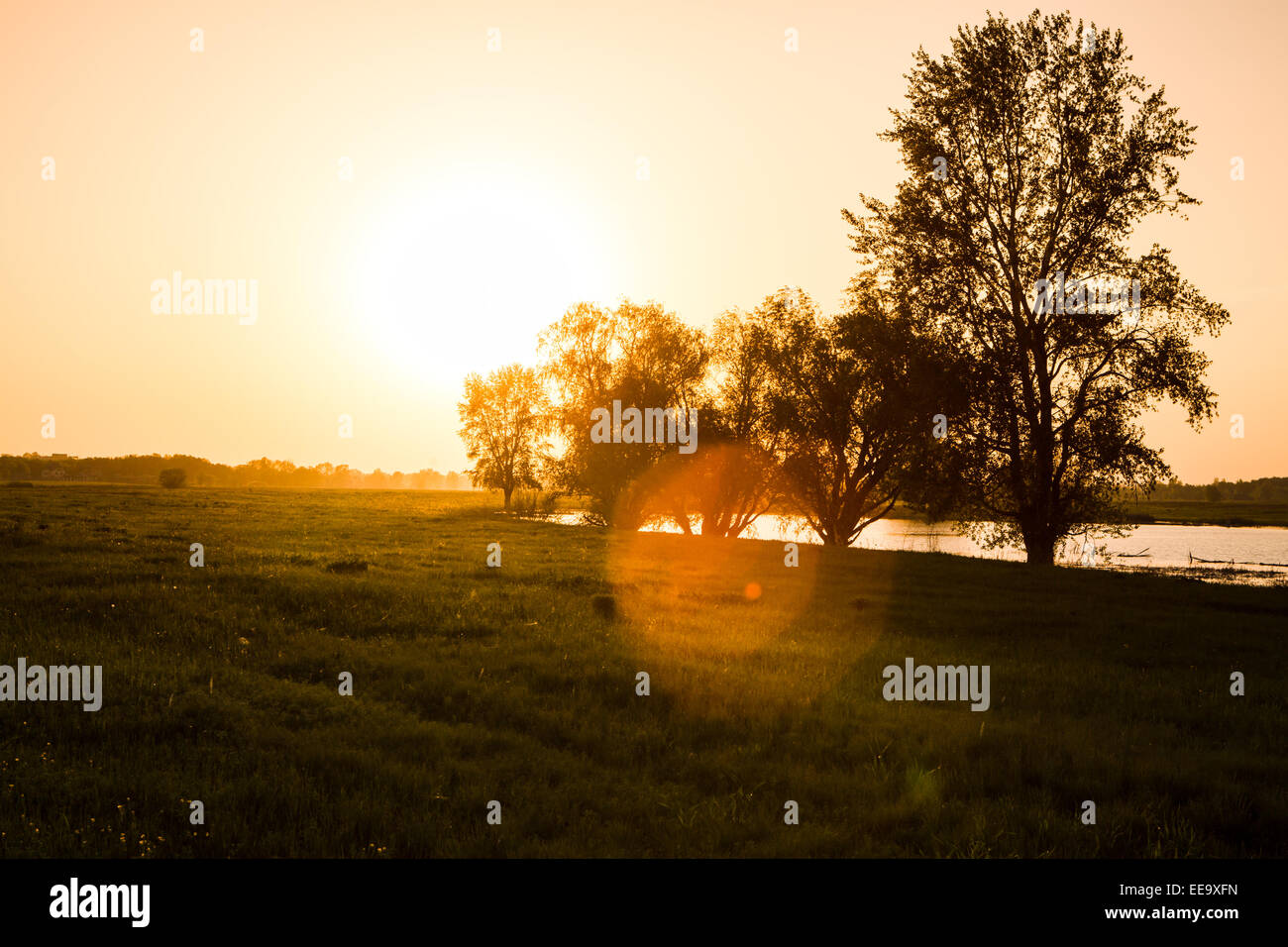 field on sunset Stock Photo - Alamy