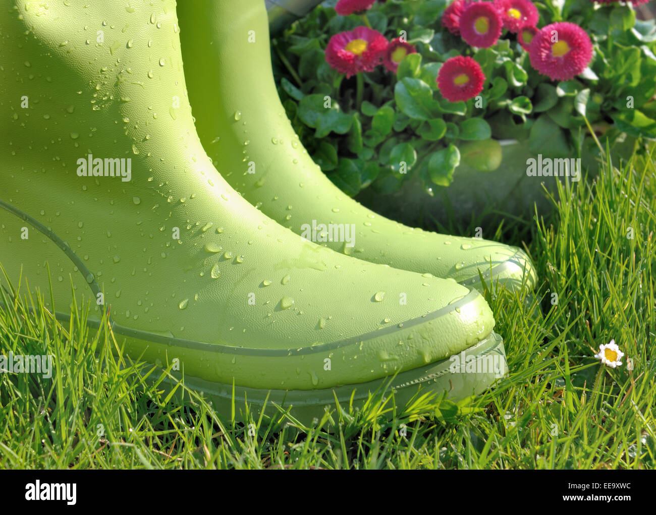 close up of rubber boots in the wet grass Stock Photo - Alamy