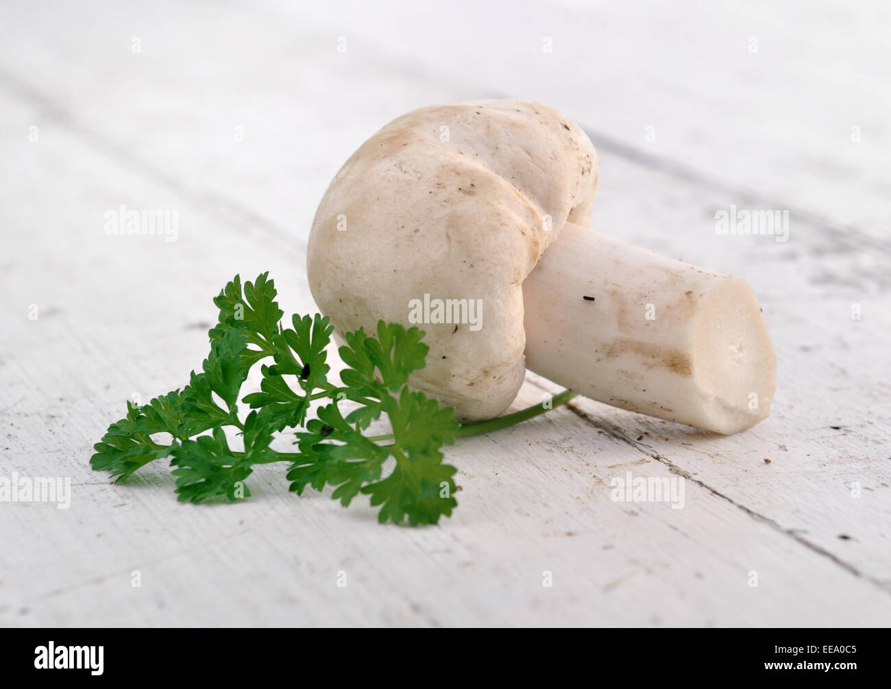Paris mushroom fresh on a table with parsley leaf Stock Photo - Alamy