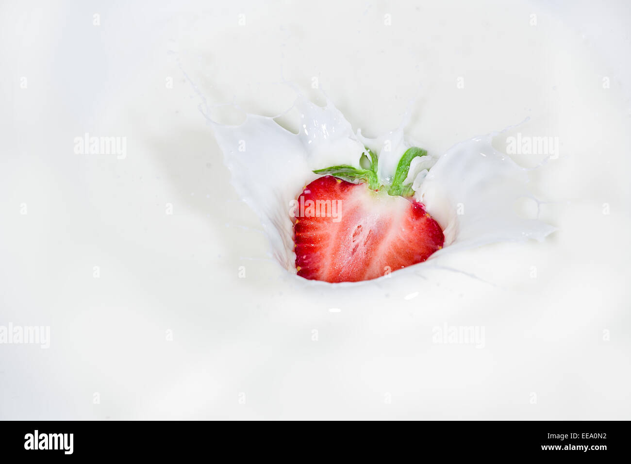 Strawberry falling into splashing milk. Isolated on white Stock Photo ...