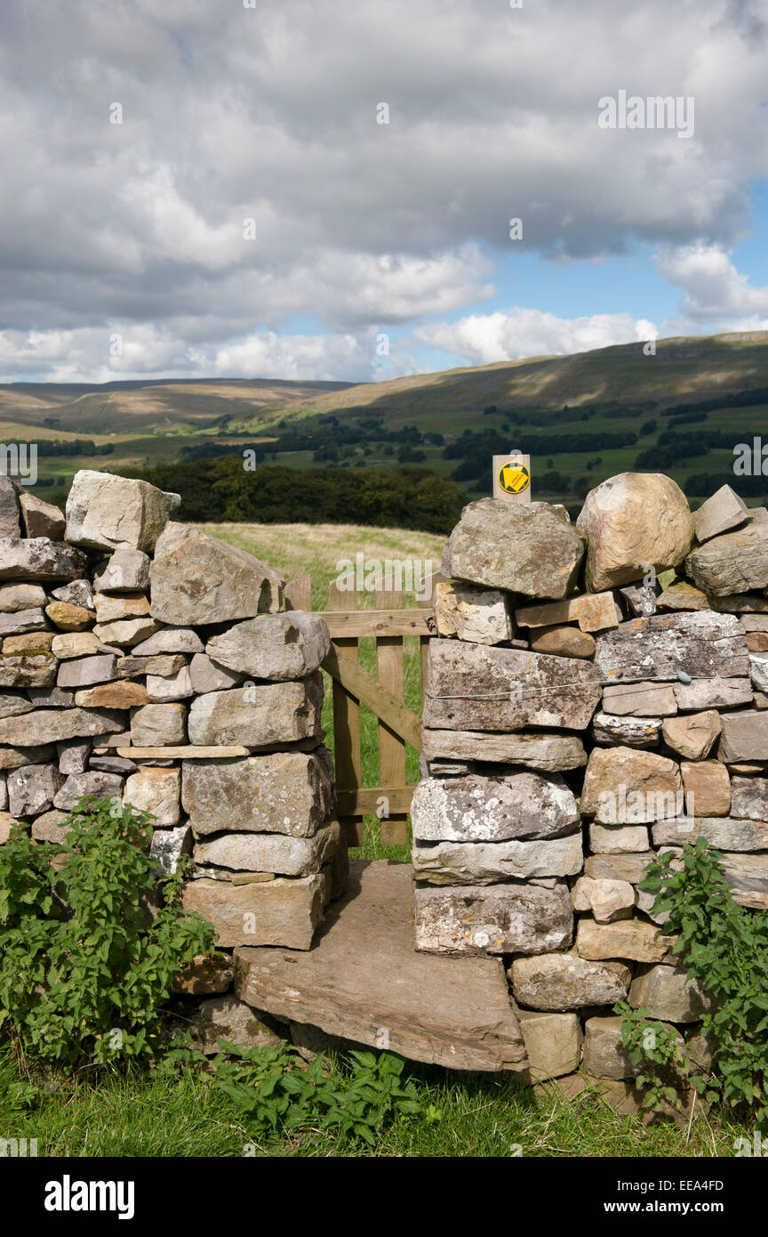 Stile and gate in a drystone wall on a public footpath near Burtersett ...