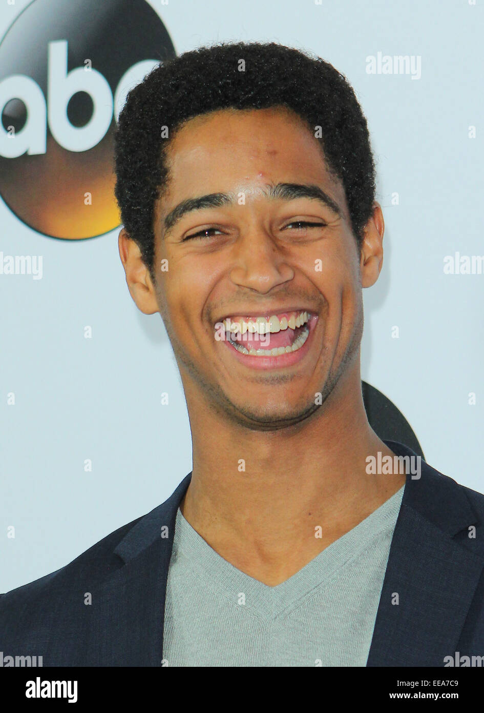 Los Angeles, California, USA. 14th Jan, 2015. Alfred Enoch attends ABC ...