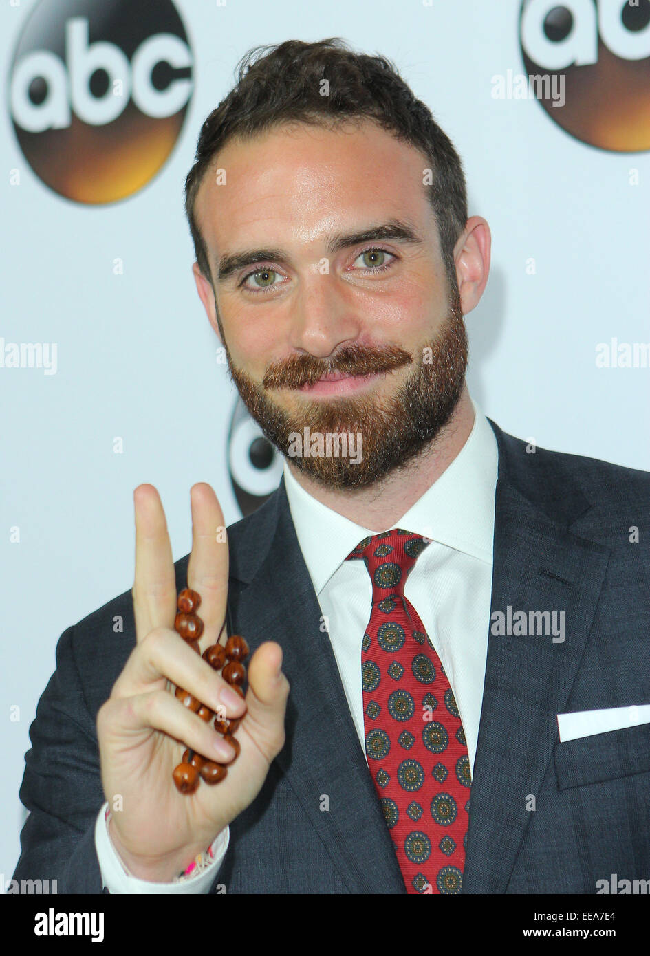 Los Angeles, California, USA. 14th Jan, 2015. Joshua Sasse attends ABC ...