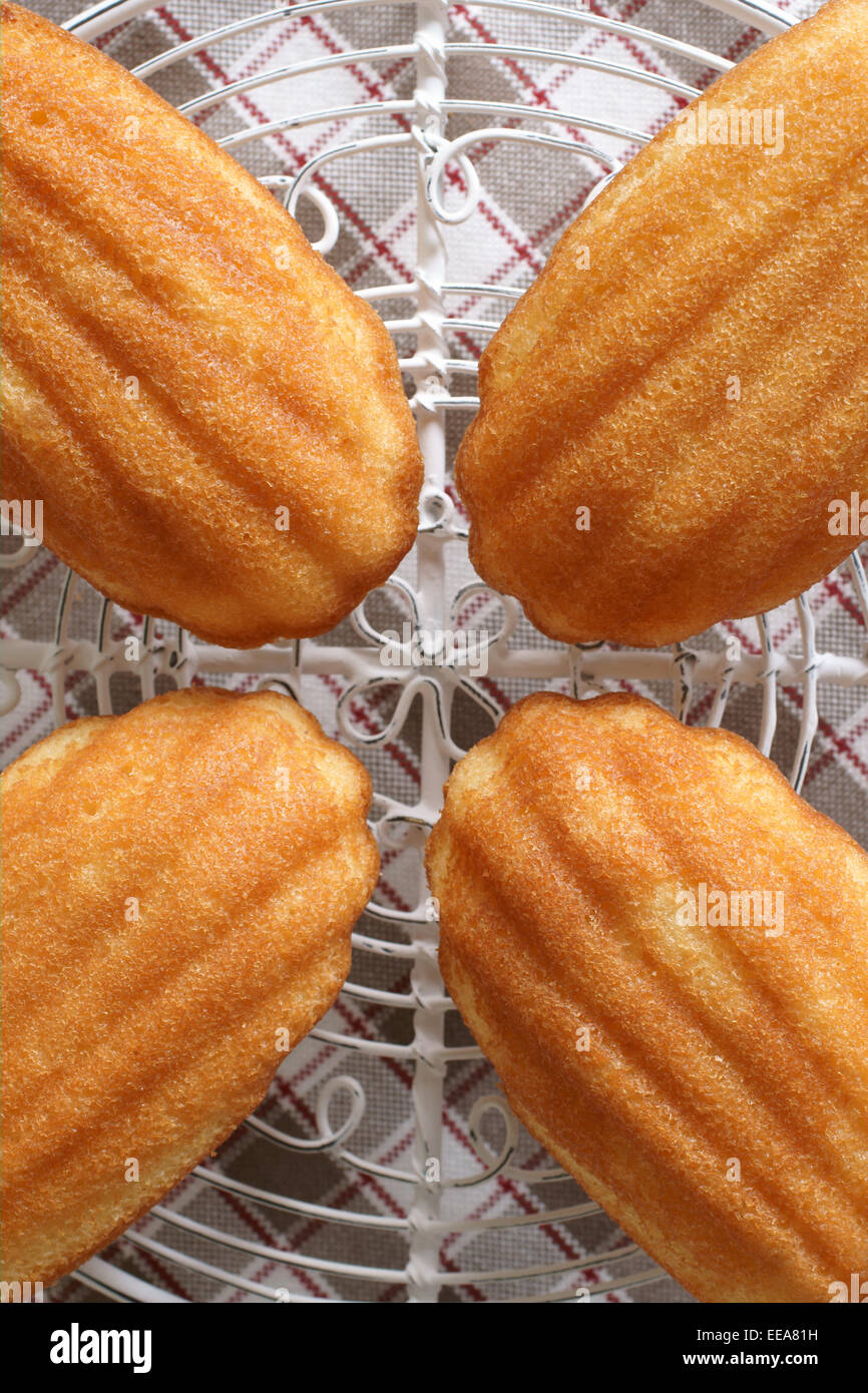 Madeleine cake hi-res stock photography and images - Alamy