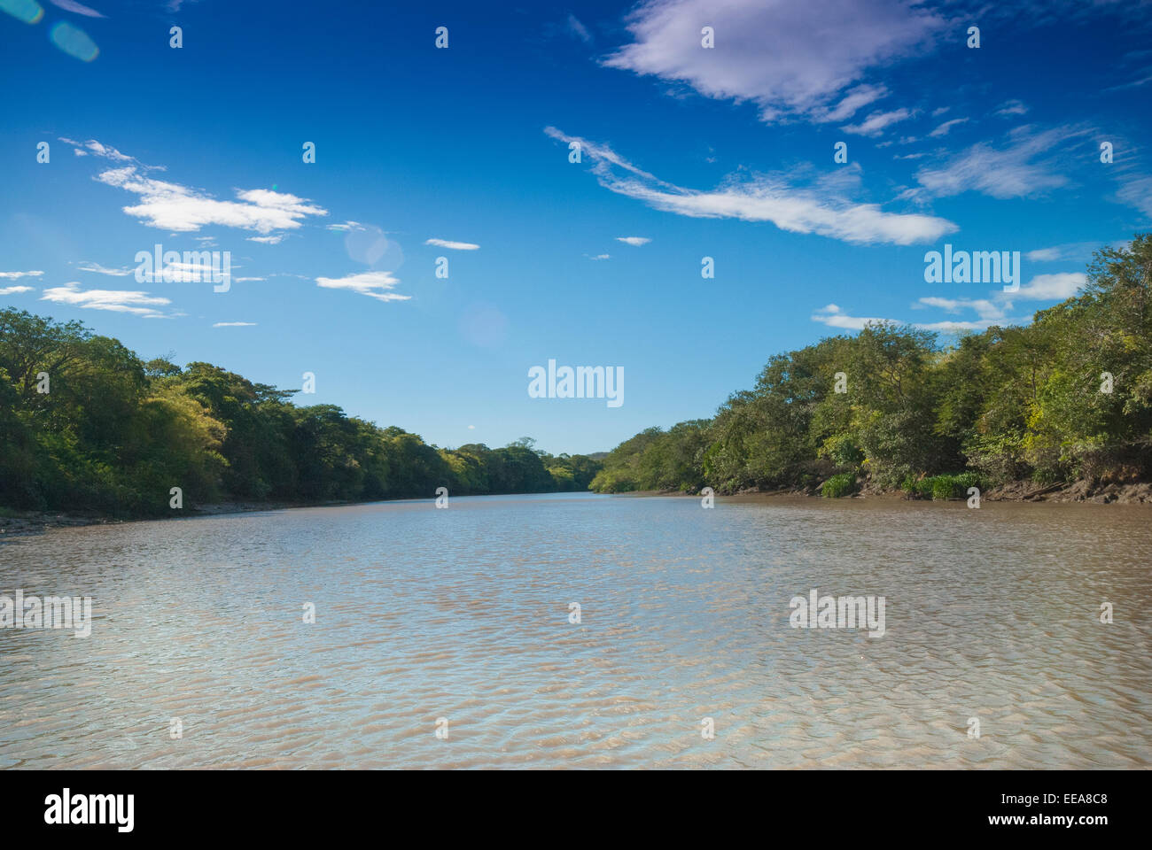 Tempisque river in Costa Rica Stock Photo - Alamy