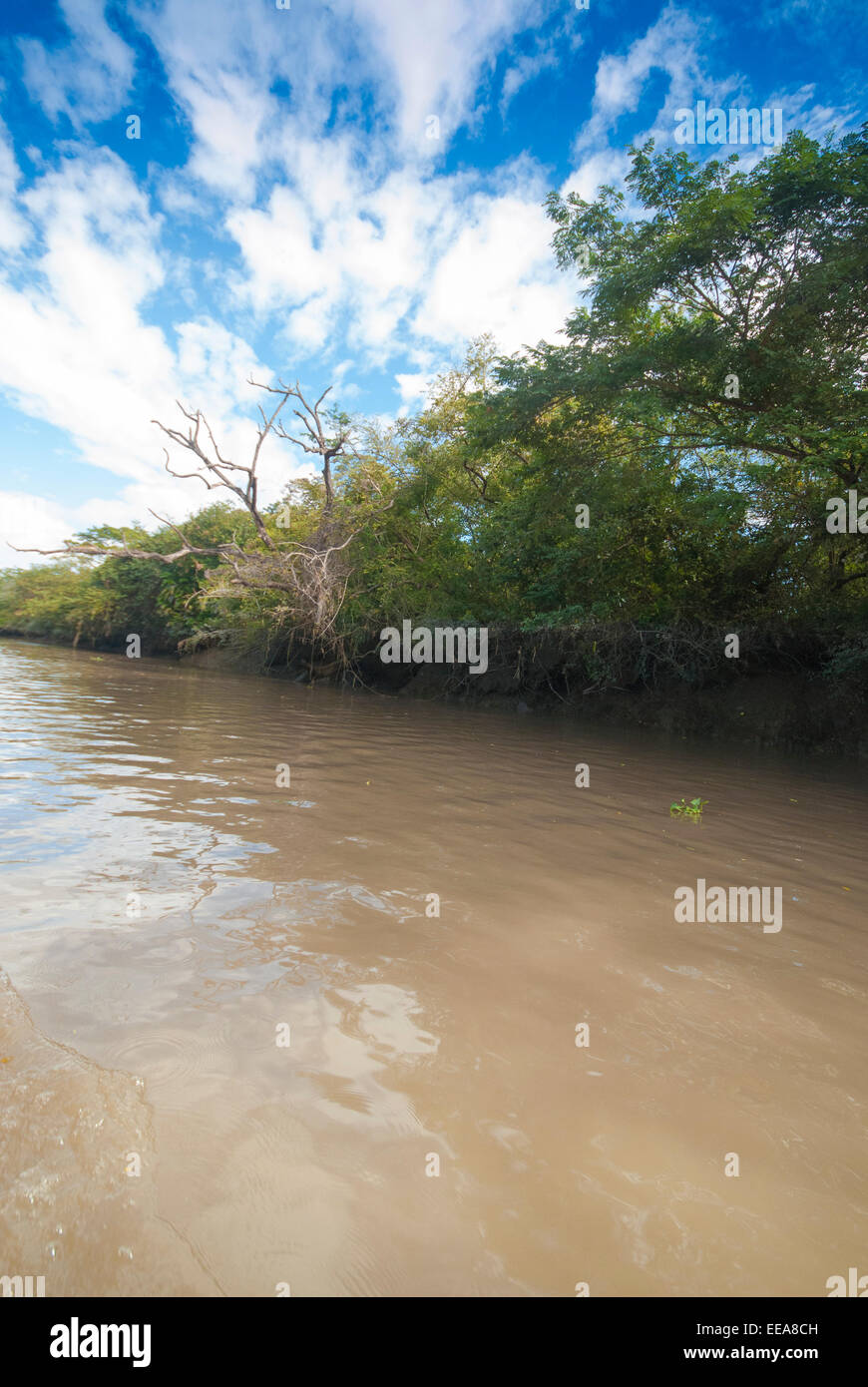 River of Costa Rica Stock Photo - Alamy