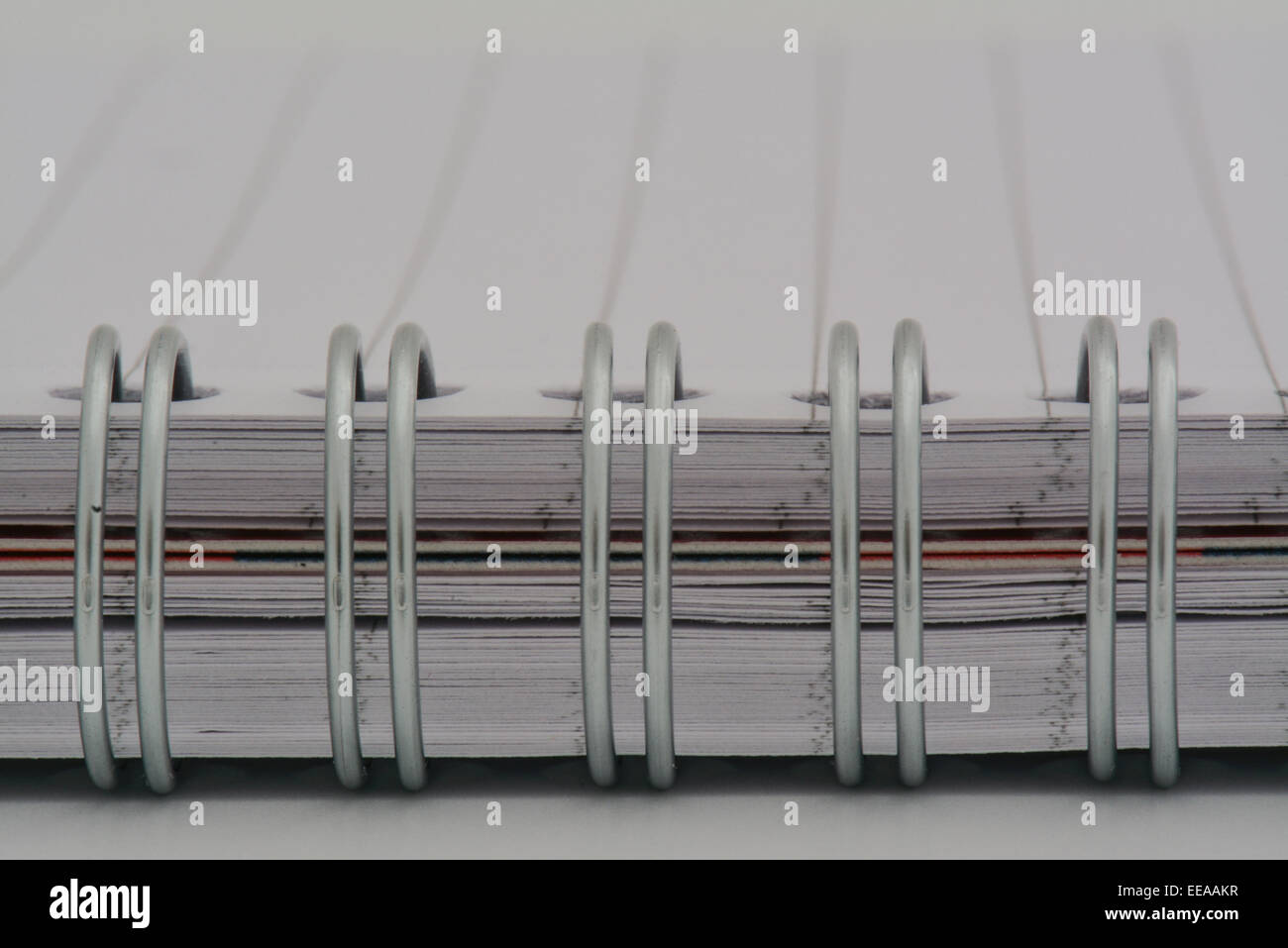 extreme close up of ringed notebook with empty lined page Stock Photo ...