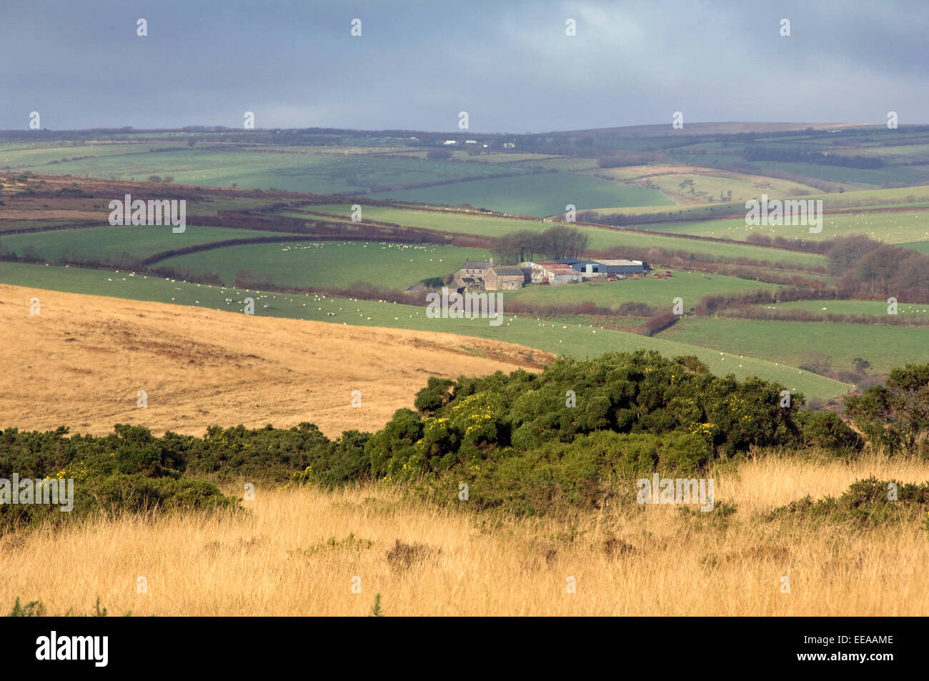 Dulverton village exmoor hi-res stock photography and images - Alamy
