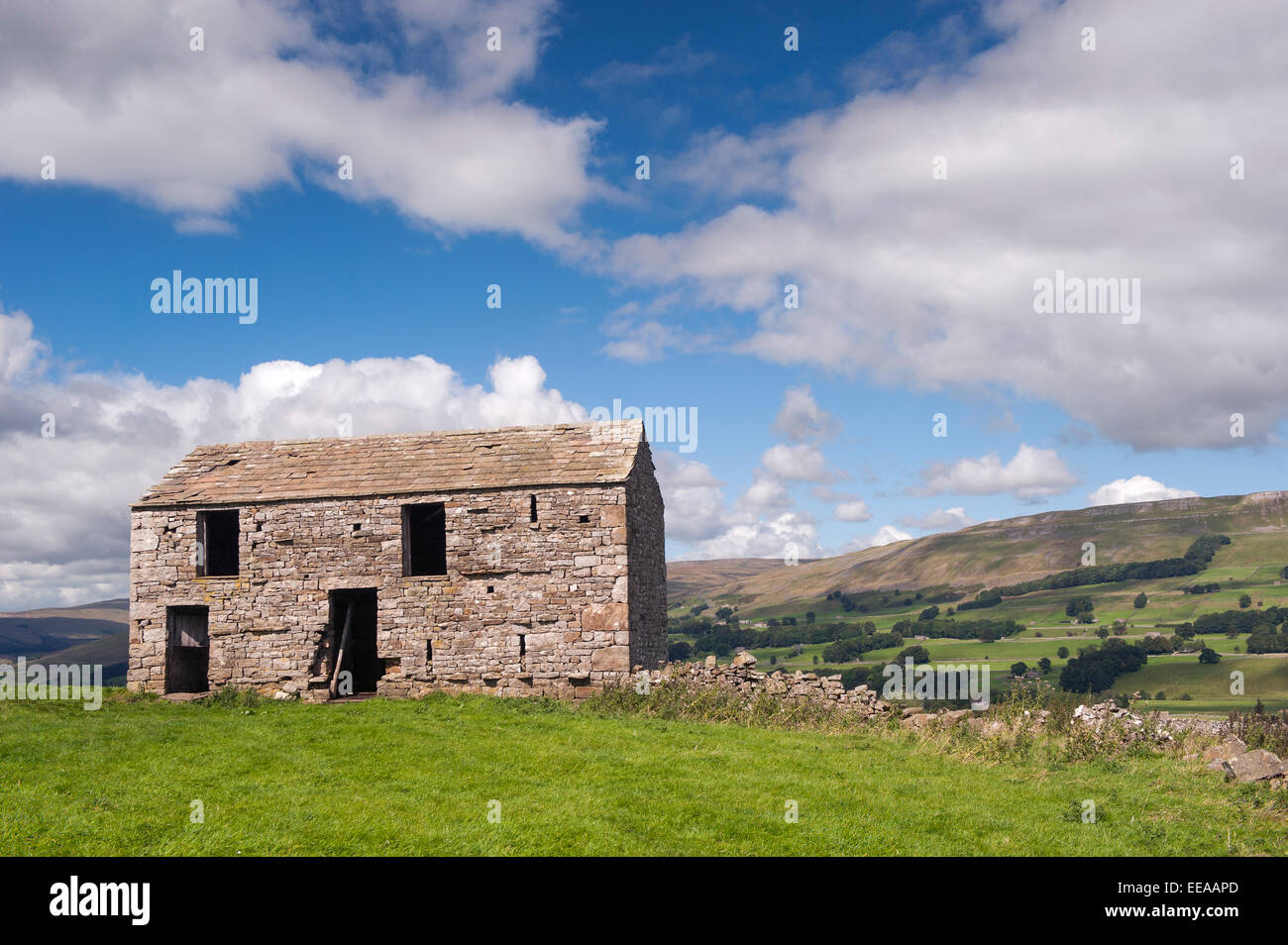 Traditional stone barns in Wenslydale laying unused and derelict ...