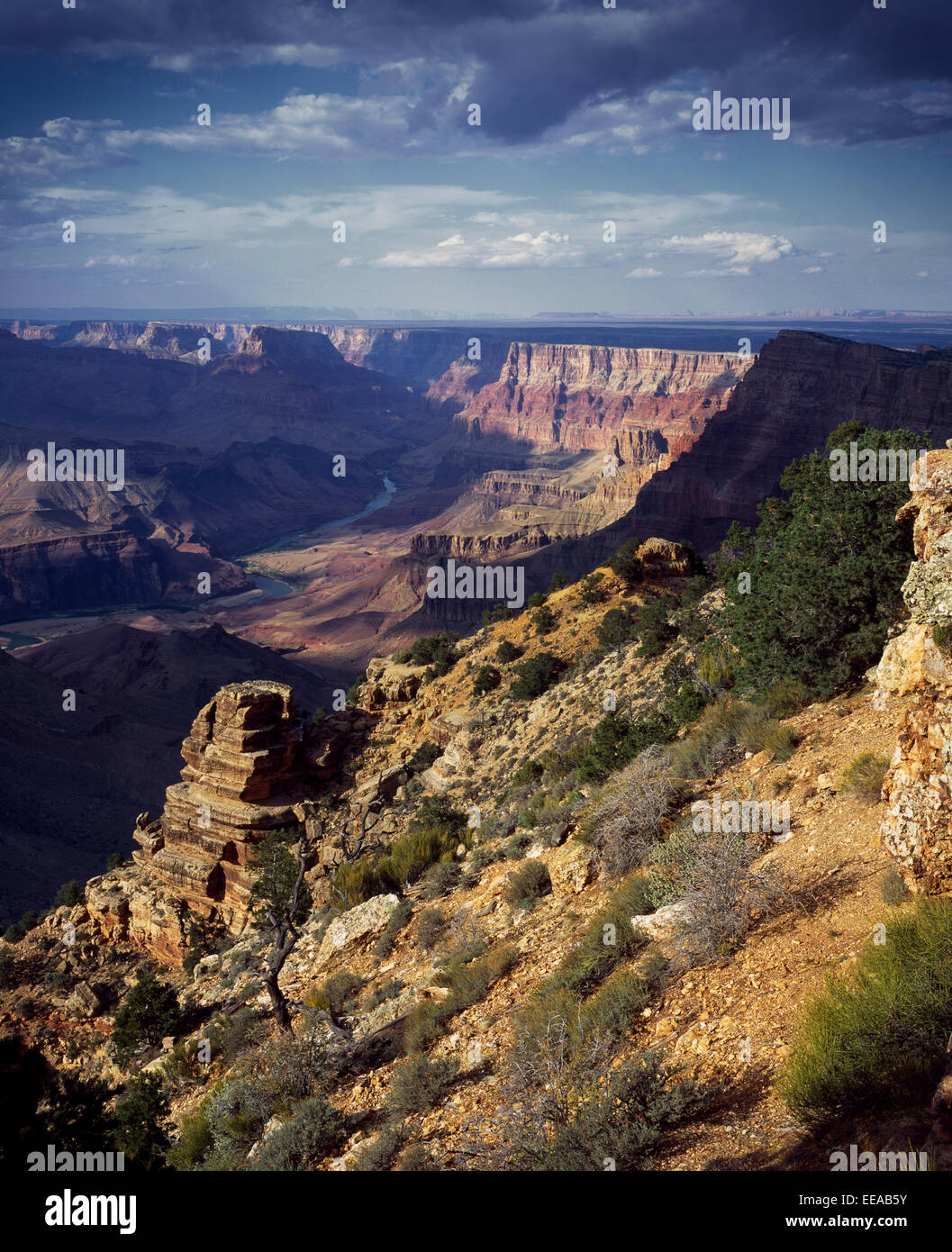 The Grand Canyon Stock Photo - Alamy
