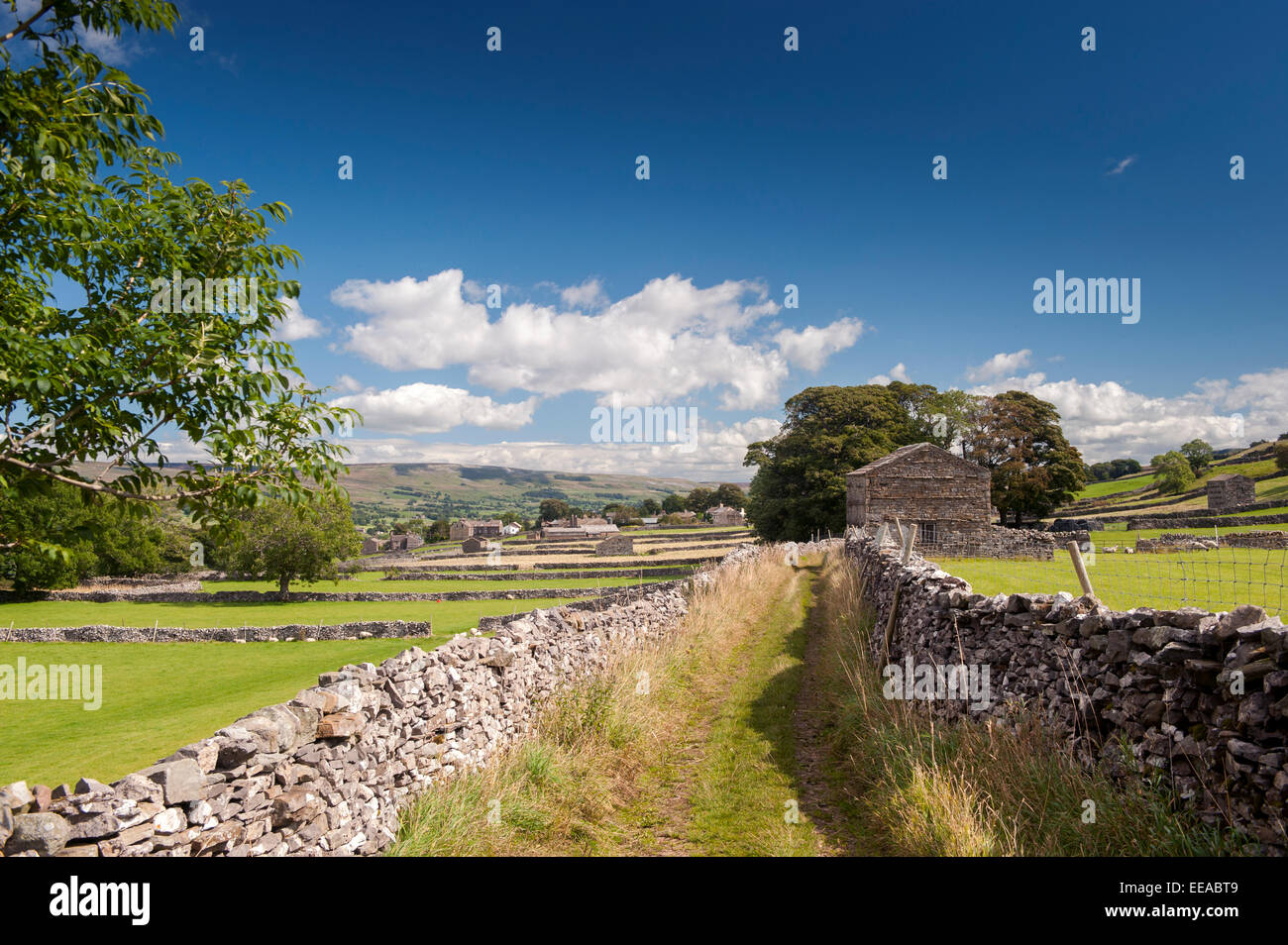 Looking down Shaws Lane towards Burtersett, near Hawes, Wensleydale ...
