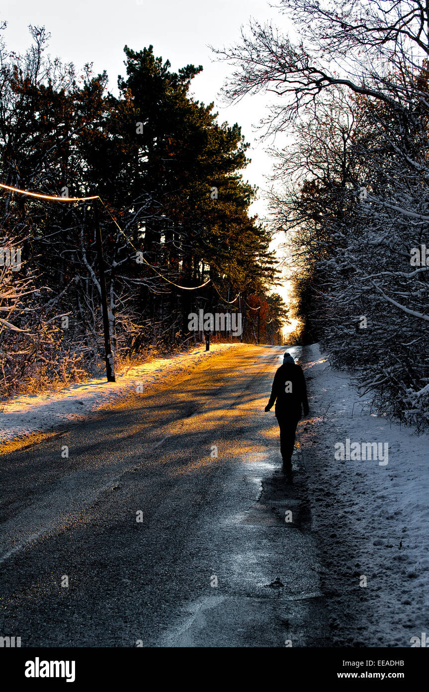 adult alone back beautiful black calm color colorful creative female ...