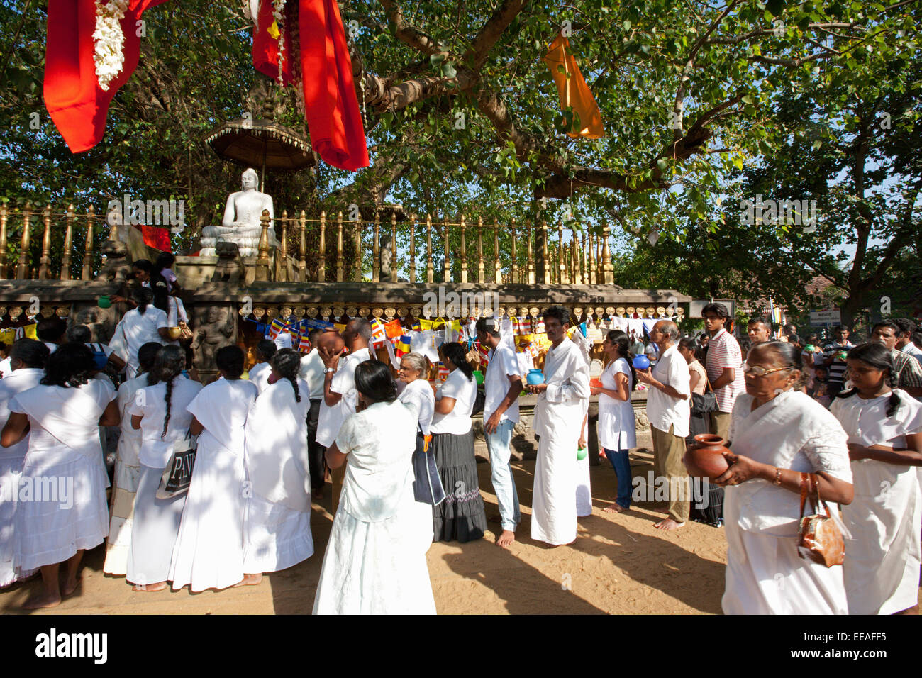 POYA FESITVAL CELEBRATIONS Stock Photo - Alamy