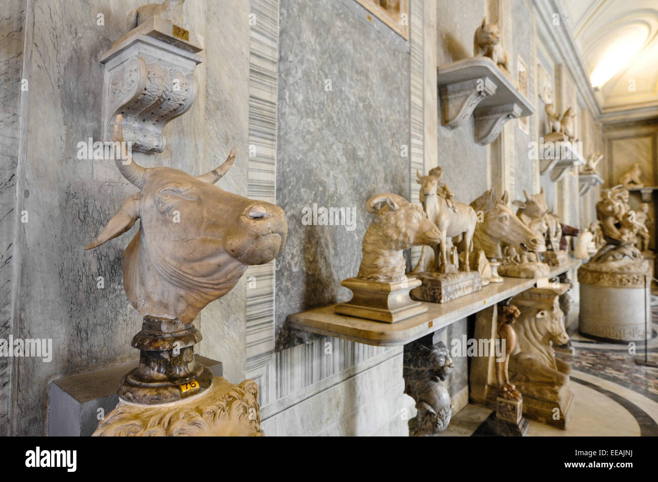 Greece sculptures in Vatican museum, Italy Stock Photo - Alamy