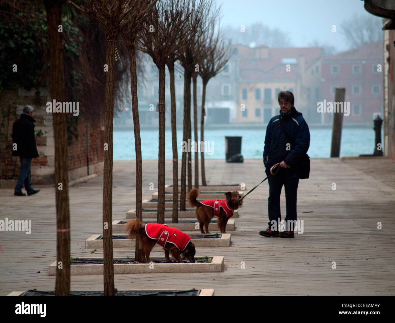 Well dressed dogs hi-res stock photography and images - Alamy