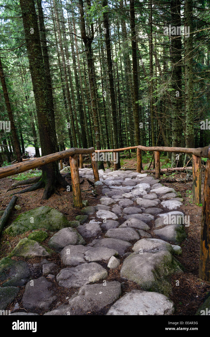 Tatra nature hi-res stock photography and images - Alamy