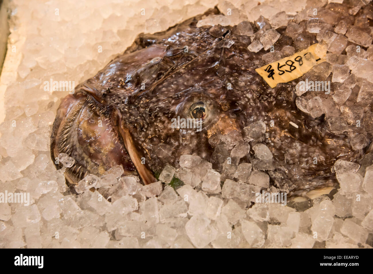Angler fish,Oarai market,Oarai city,Ibaraki,Japan Stock Photo - Alamy