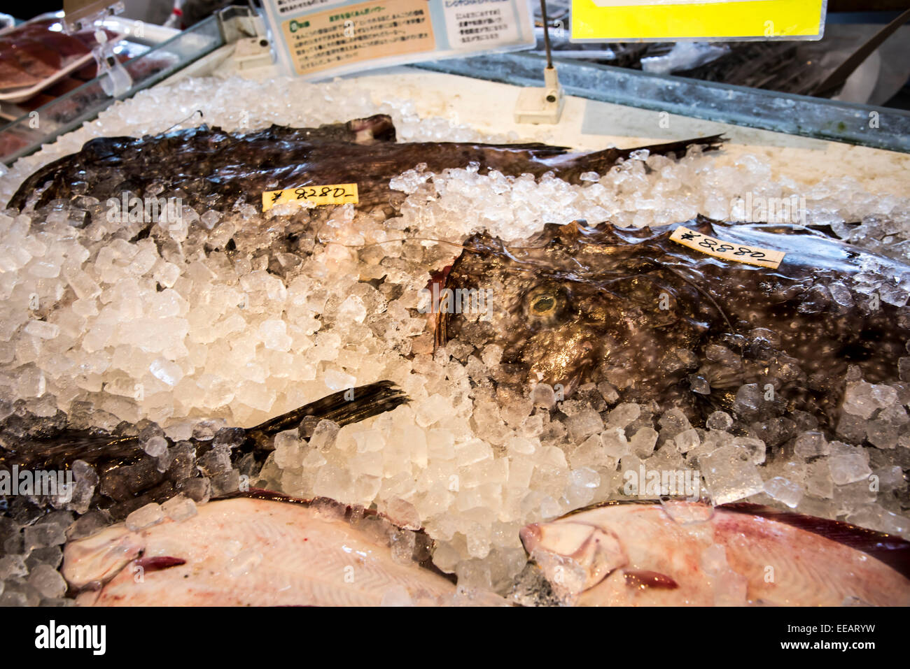 Angler fish,Oarai market,Oarai city,Ibaraki,Japan Stock Photo - Alamy