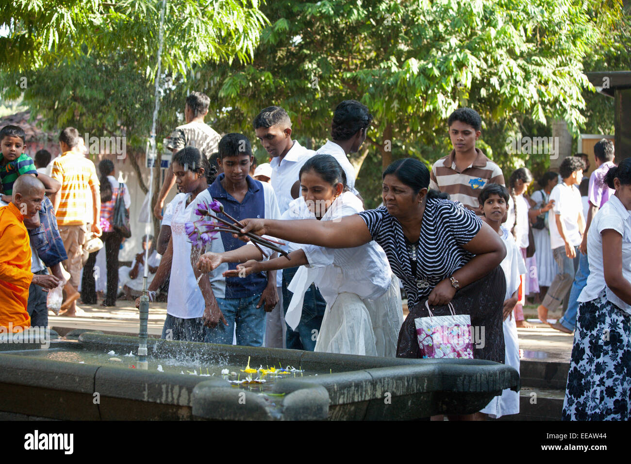 Poya day hi-res stock photography and images - Alamy