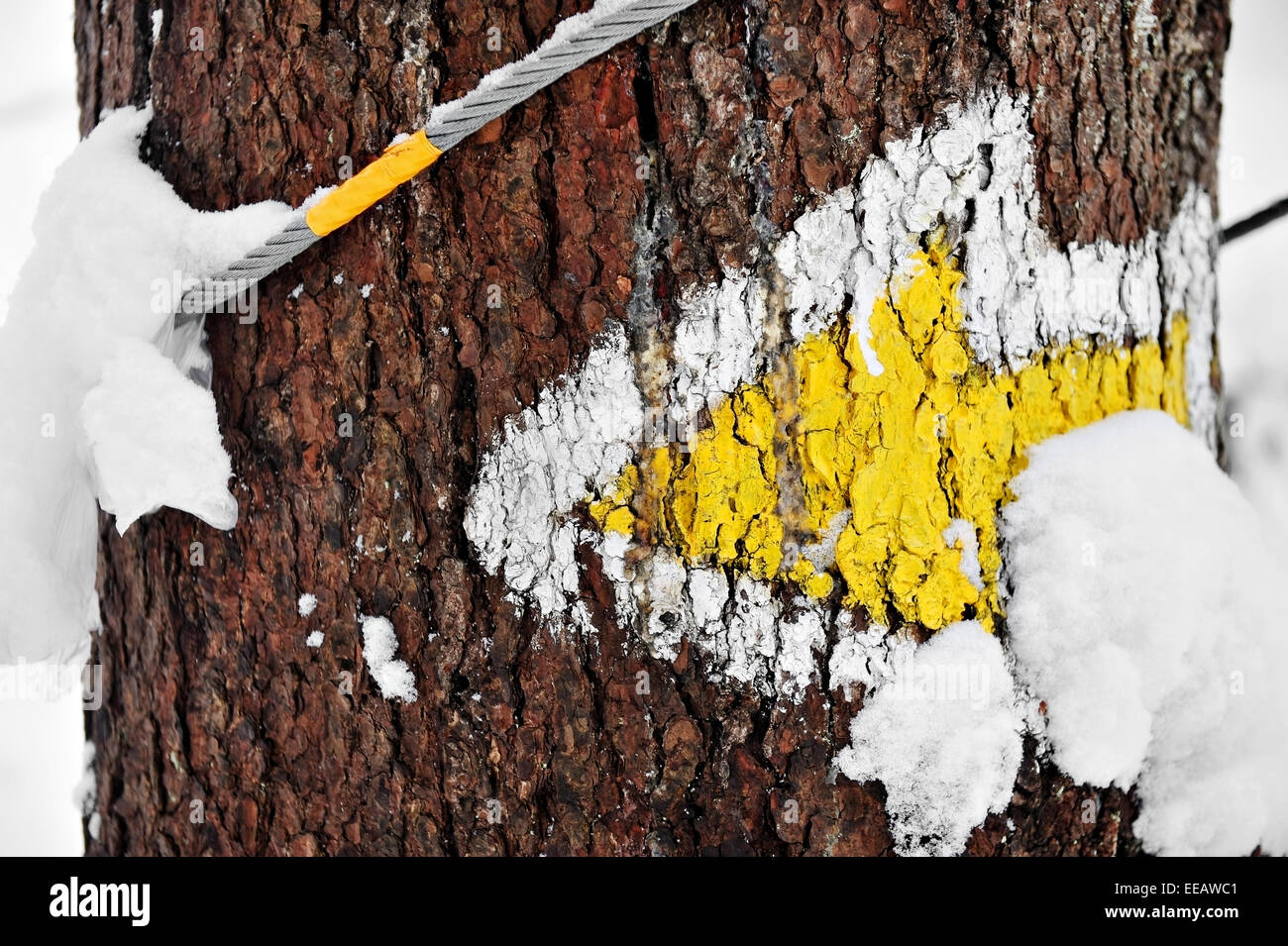 Plastic Trail Markers