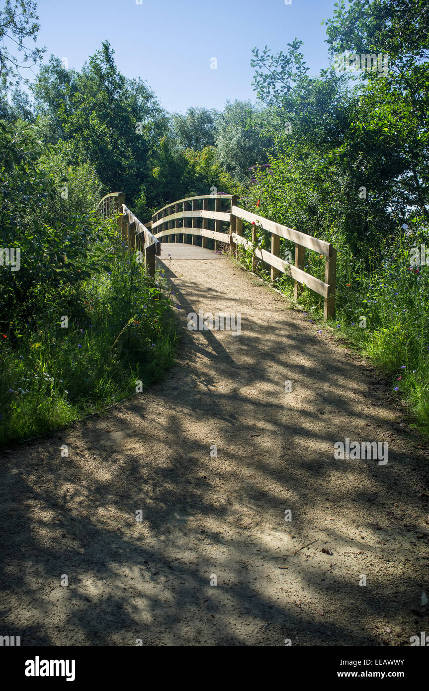 Country Path and Rustic Bridge in Wroxham Norfolk England Stock Photo ...