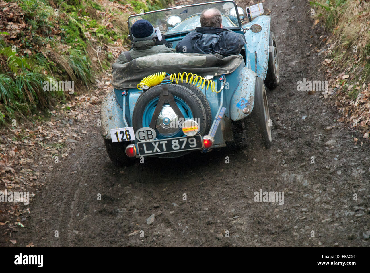 Car competitors on the Fingle Section of the 2013 Exeter Trial Stock ...