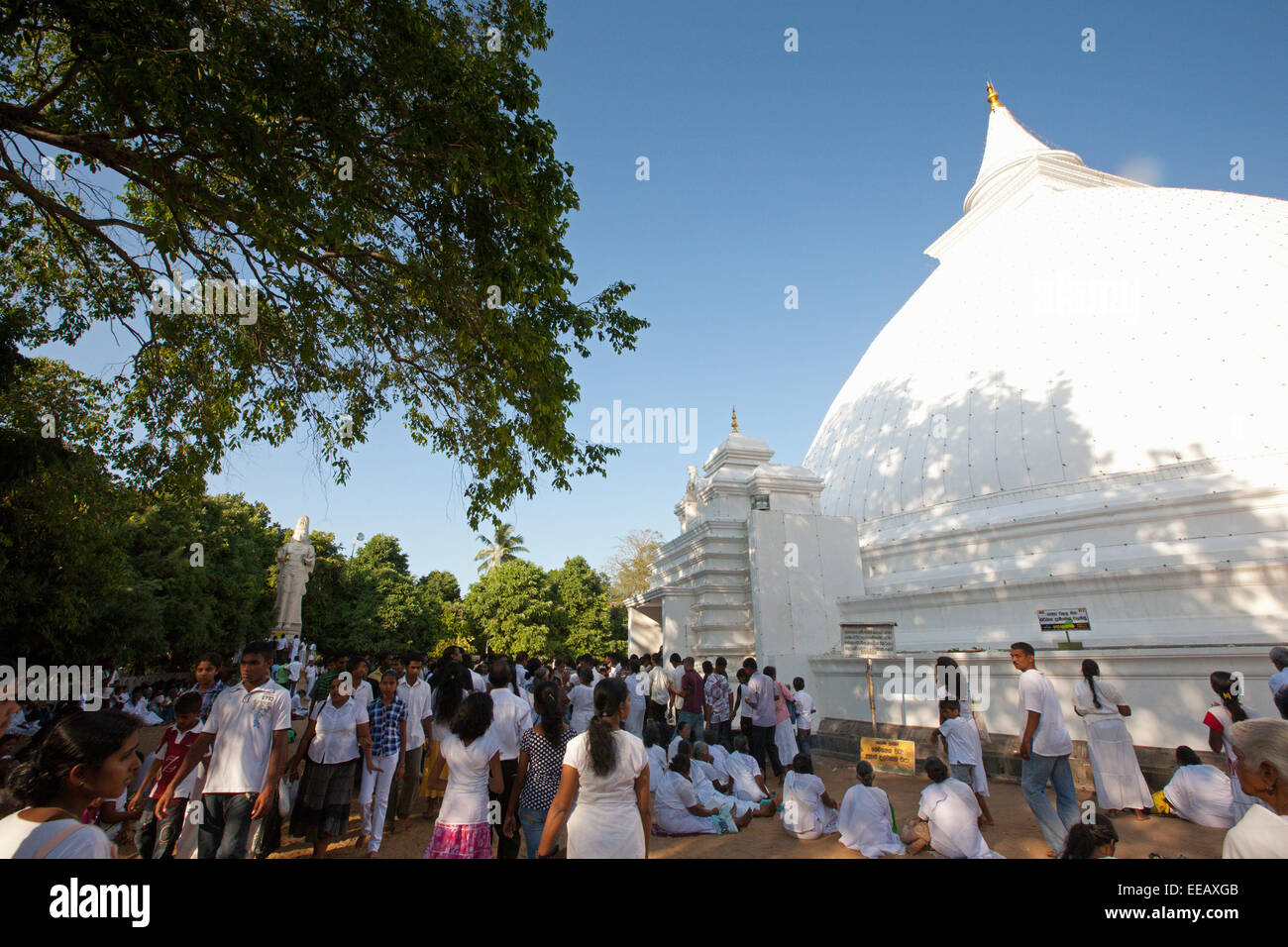 Poya Stock Photos & Poya Stock Images - Alamy