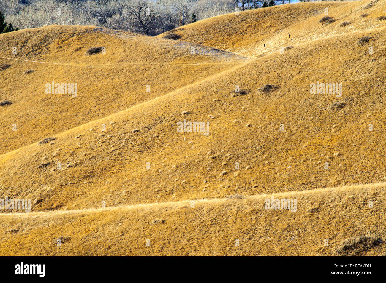 Old man river valley coulee hi-res stock photography and images - Alamy
