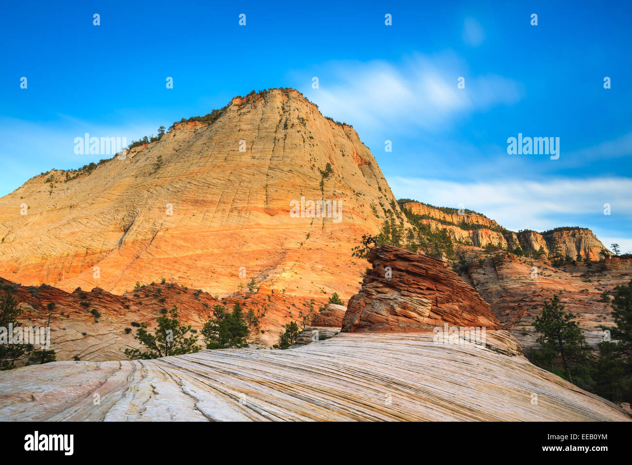Checkerboard Mesa is located just east of the Zion National Park Stock ...