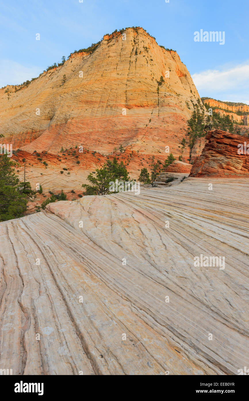 Zion mesa with tree hi-res stock photography and images - Alamy