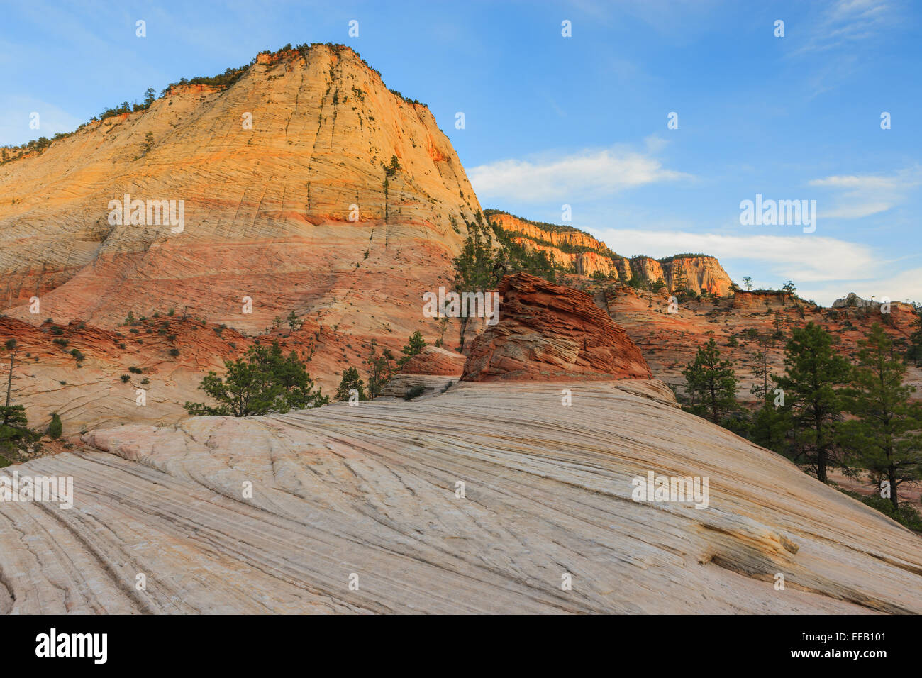 Checkerboard mesa located east zion hi-res stock photography and images ...