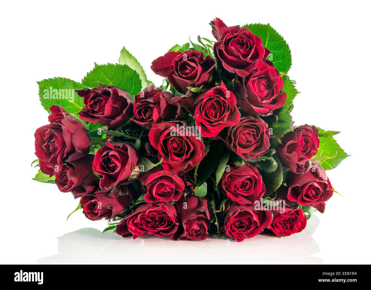bouquet of dark red roses isolated on white background Stock Photo - Alamy
