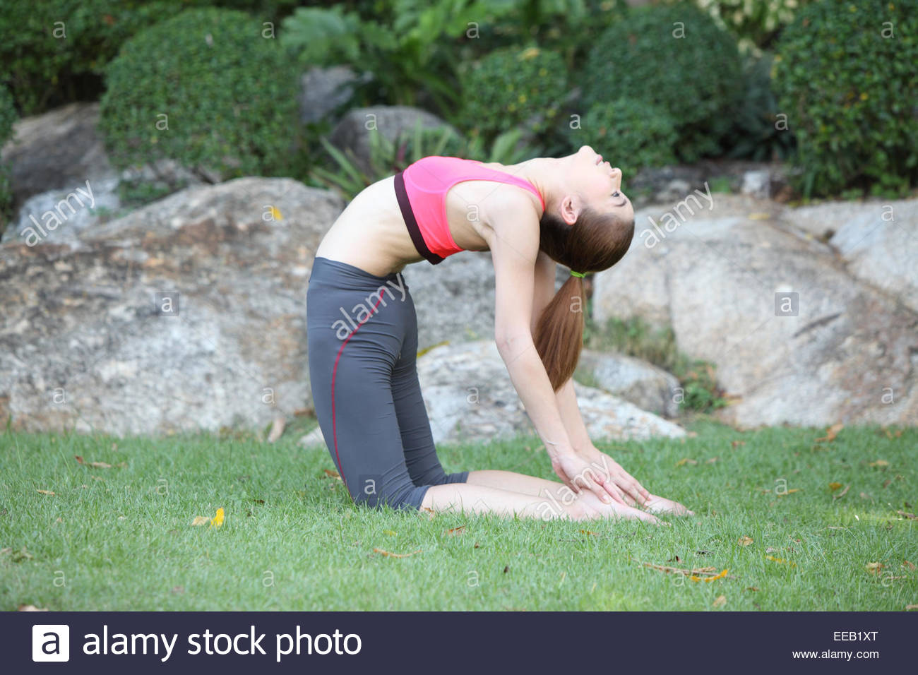 Young Beautiful Woman Yoga Instructor Stock Photos & Young Beautiful ...