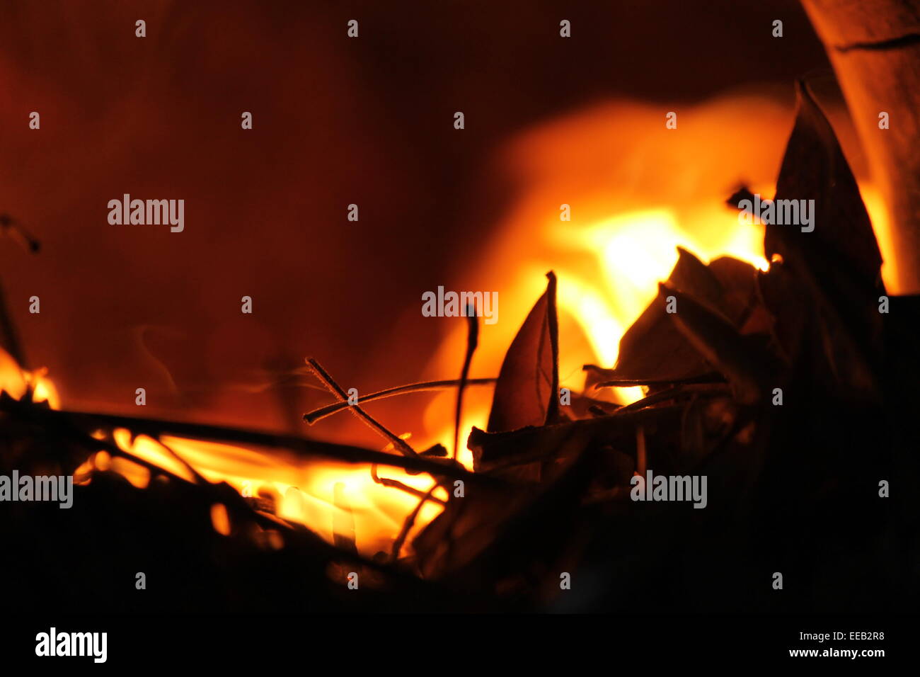 Fire beautiful hi-res stock photography and images - Alamy