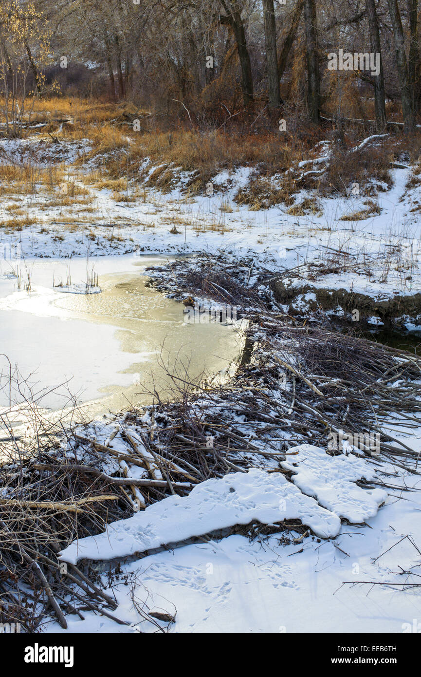 Old man dam alberta hi-res stock photography and images - Alamy