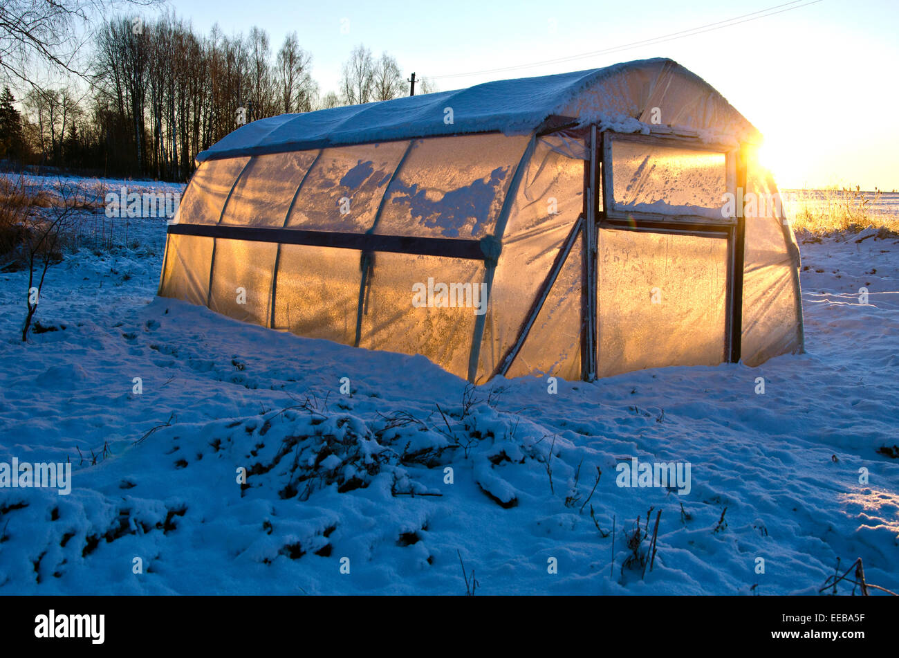 White hothouse hi-res stock photography and images - Alamy