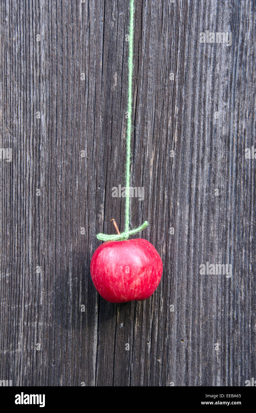 one red summer fresh apple hang on green string Stock Photo - Alamy