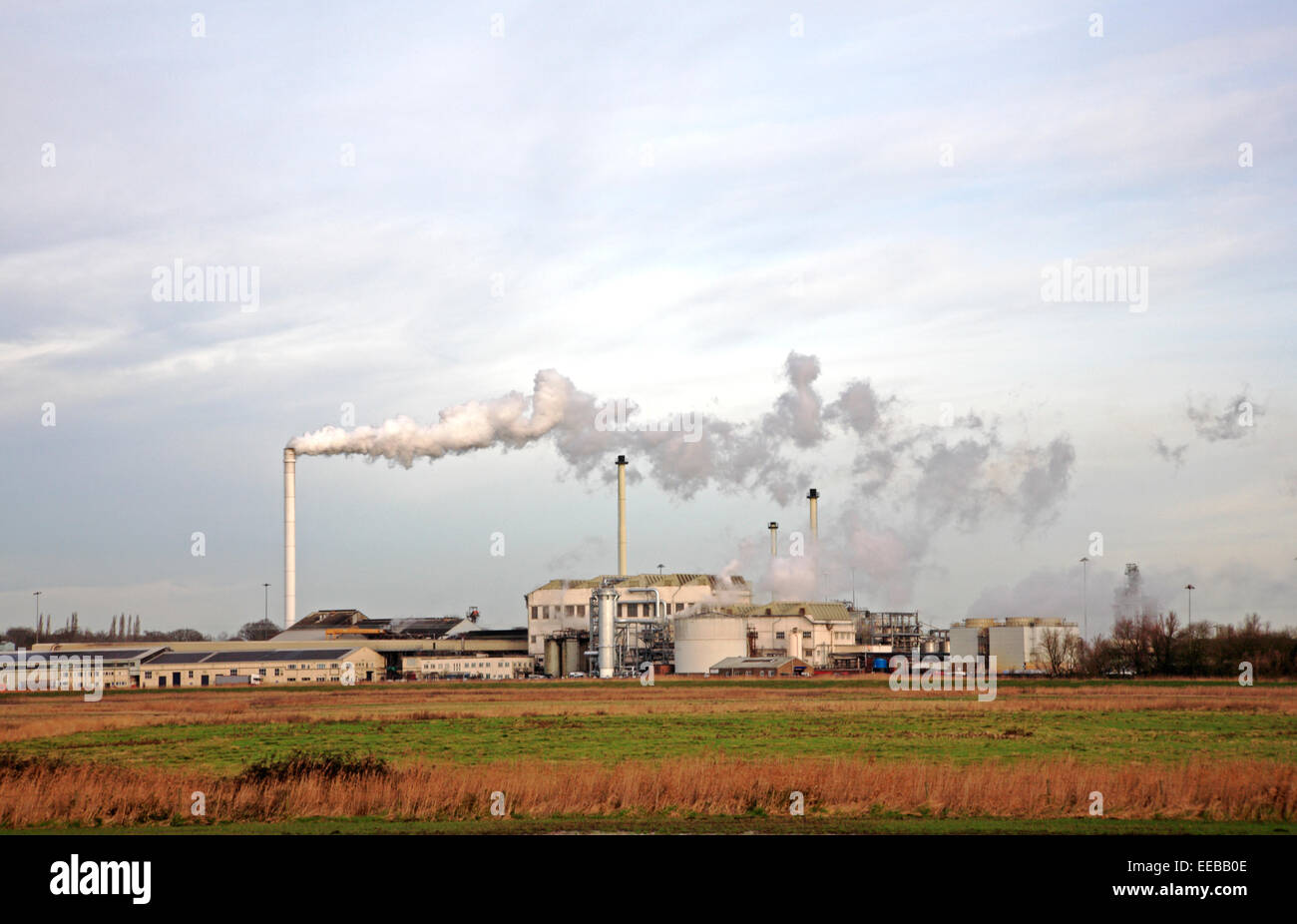 Emissions from the British Sugar factory at Cantley viewed from Hardley ...
