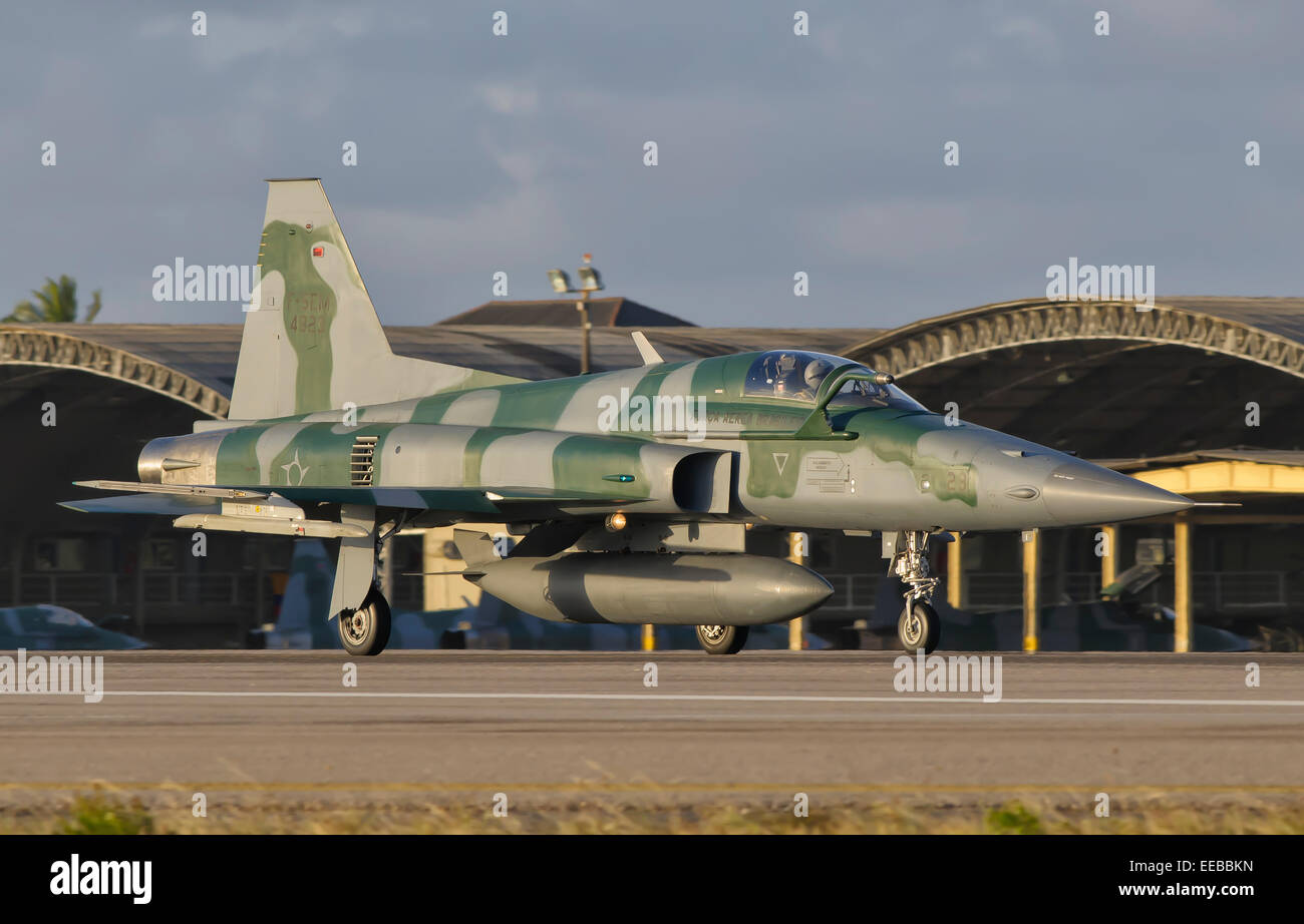 Brazilian Air Force F-5 at Natal Air Force Base, Brazil Stock Photo - Alamy