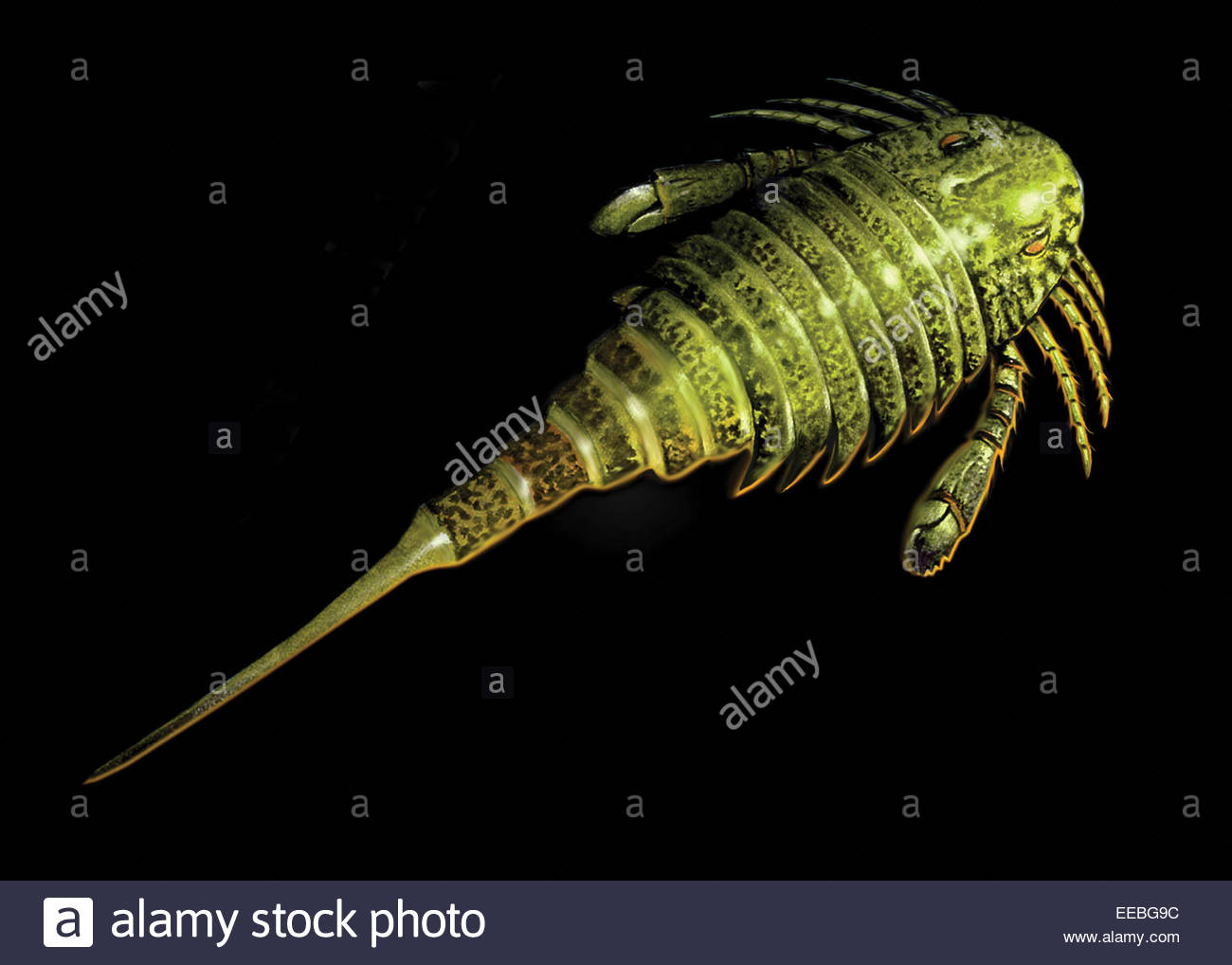 Silurian Stock Photos & Silurian Stock Images - Alamy