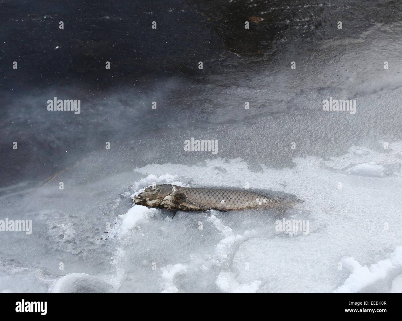 Minnesota river frozen in winter hi-res stock photography and images ...
