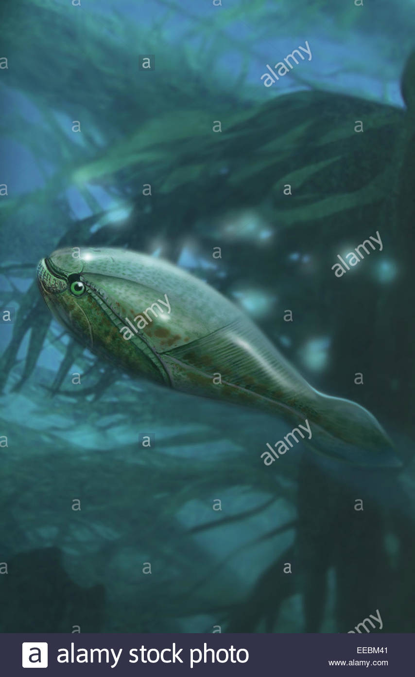 Prehistoric Painting Fish Stock Photos & Prehistoric Painting Fish ...